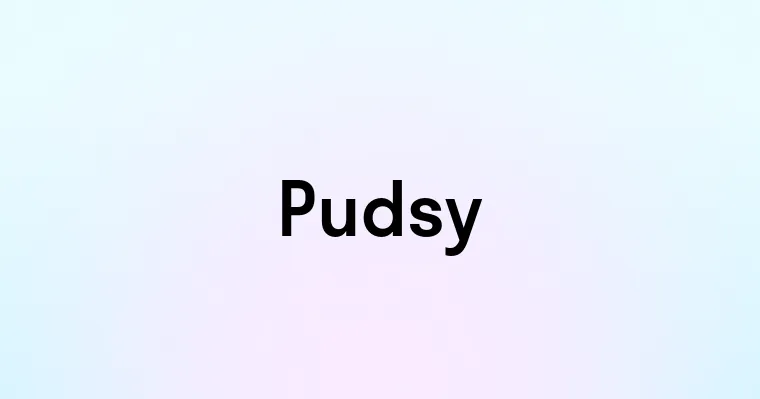 Pudsy — перевод, транскрипция, произношение и примеры