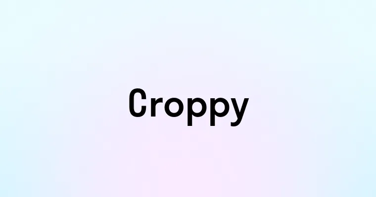 Croppy — перевод, транскрипция, произношение и примеры