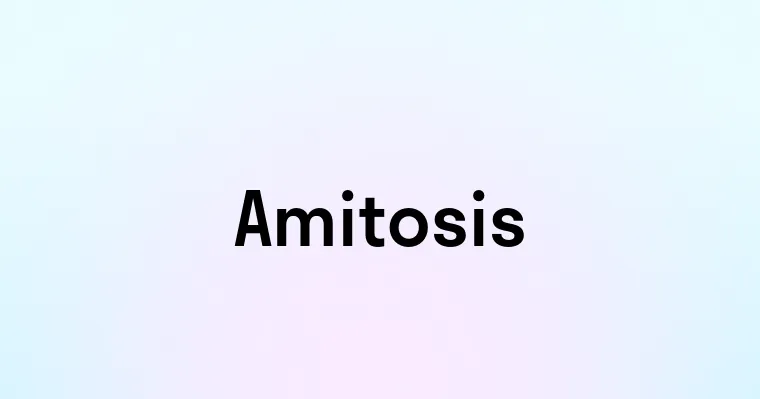Amitosis — перевод, транскрипция, произношение и примеры
