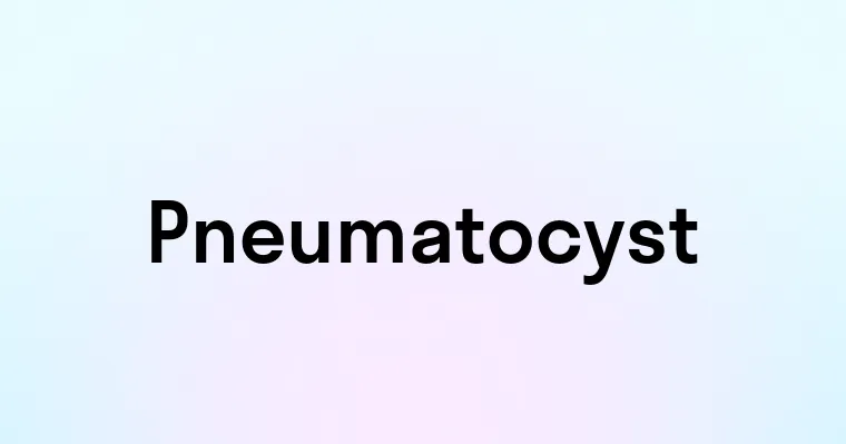 Pneumatocyst — перевод, транскрипция, произношение и примеры