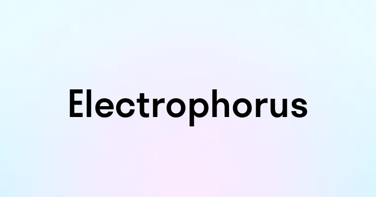 Electrophorus — перевод, транскрипция, произношение и примеры