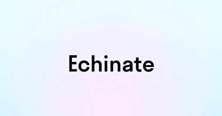 Echinate — перевод, транскрипция, произношение и примеры