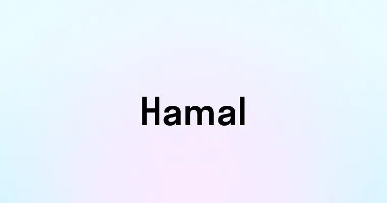 Hamal — перевод, транскрипция, произношение и примеры