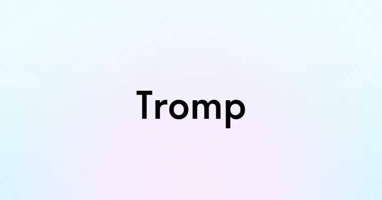 Tromp — перевод, транскрипция, произношение и примеры