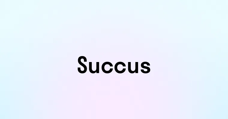 Succus — перевод, транскрипция, произношение и примеры