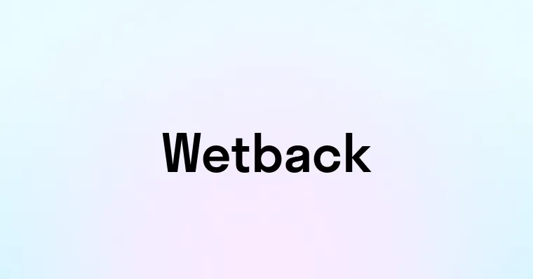 Wetback — перевод, транскрипция, произношение и примеры