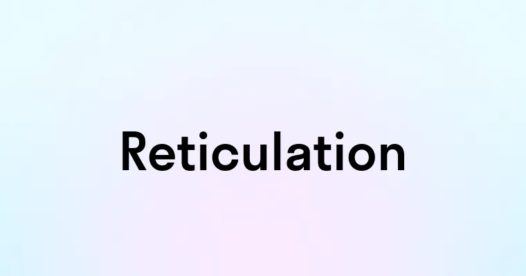 Reticulation — перевод, транскрипция, произношение и примеры