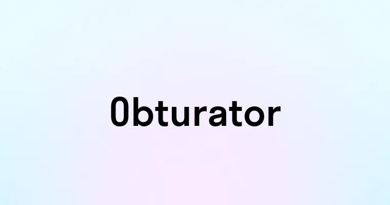 Obturator — перевод, транскрипция, произношение и примеры