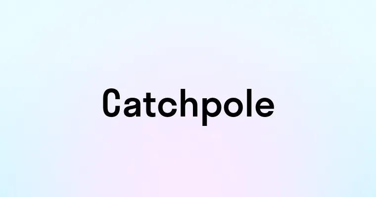 Catchpole — перевод, транскрипция, произношение и примеры