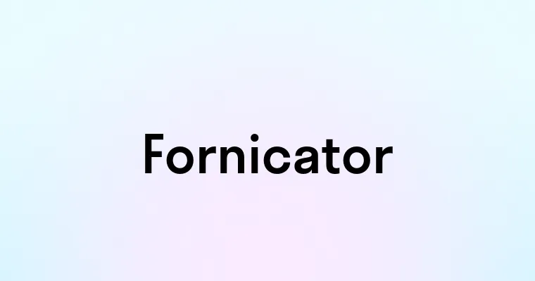 Fornicator — перевод, транскрипция, произношение и примеры