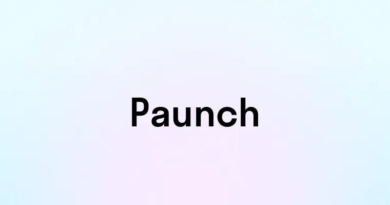 Paunch — перевод, транскрипция, произношение и примеры