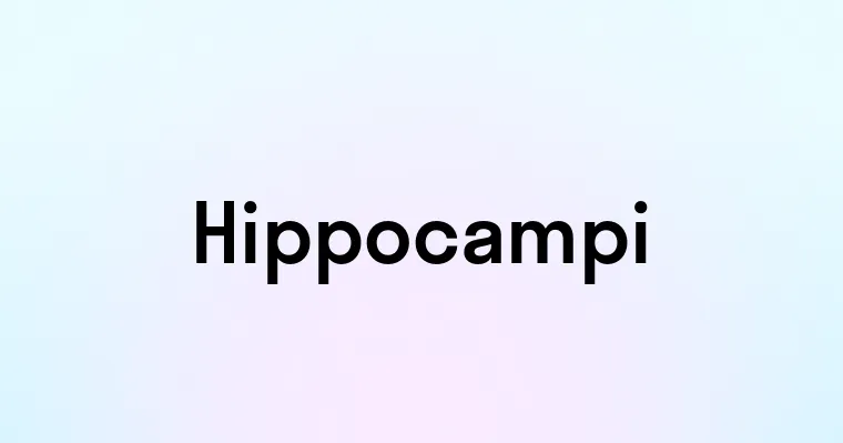 Hippocampi — перевод, транскрипция, произношение и примеры