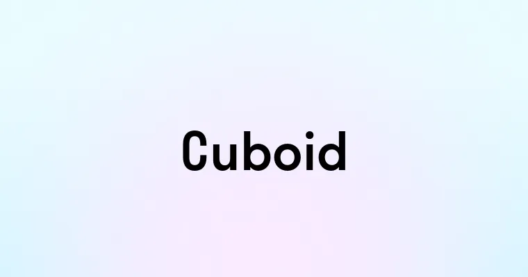 Cuboid — перевод, транскрипция, произношение и примеры
