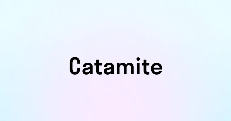 Catamite — перевод, транскрипция, произношение и примеры