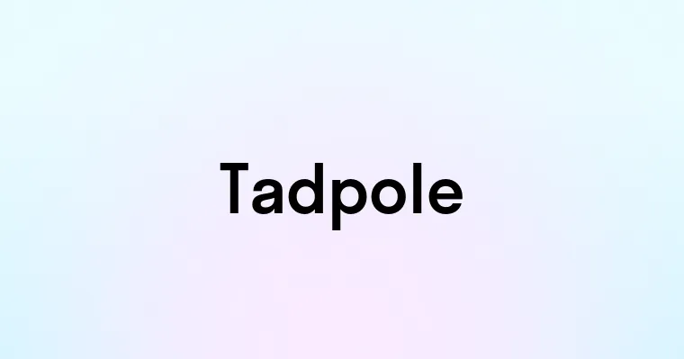 Tadpole — перевод, транскрипция, произношение и примеры