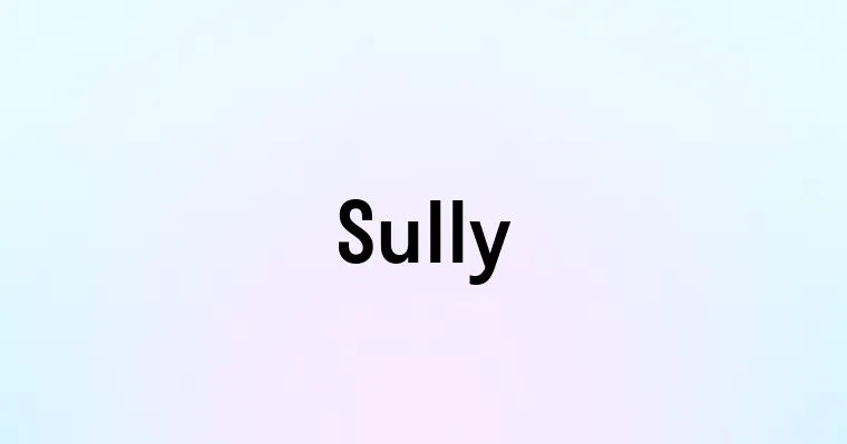 Sully — перевод, транскрипция, произношение и примеры
