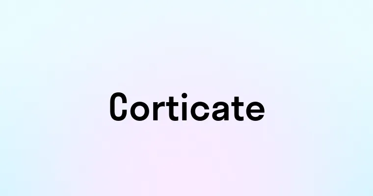 Corticate — перевод, транскрипция, произношение и примеры
