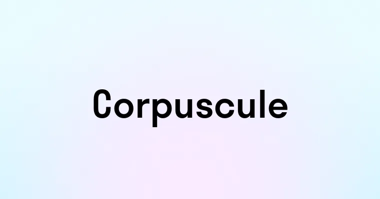 Corpuscule — перевод, транскрипция, произношение и примеры
