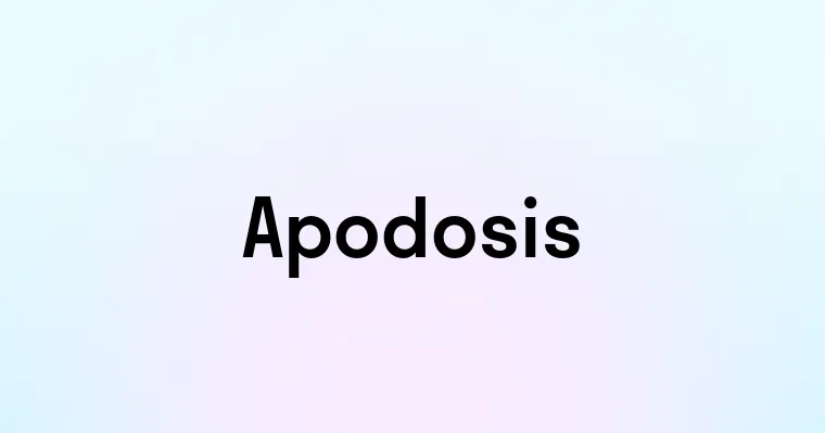 Apodosis — перевод, транскрипция, произношение и примеры