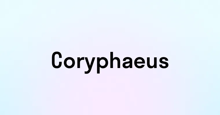 Coryphaeus — перевод, транскрипция, произношение и примеры