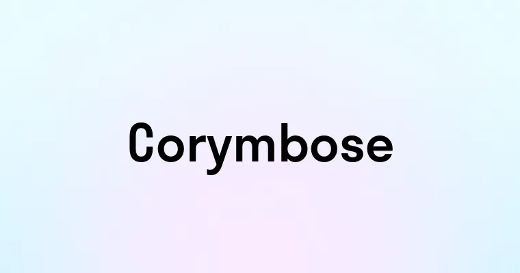 Corymbose — перевод, транскрипция, произношение и примеры