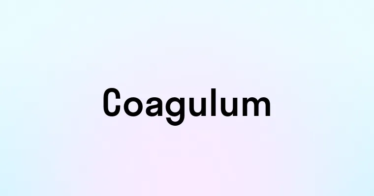 Coagulum — перевод, транскрипция, произношение и примеры