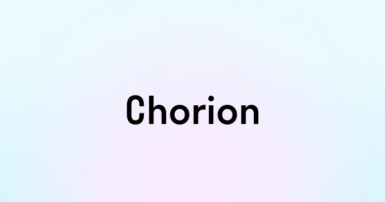 Chorion — перевод, транскрипция, произношение и примеры