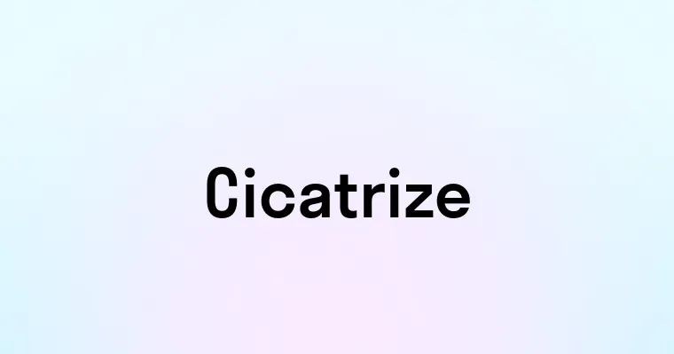 Cicatrize — перевод, транскрипция, произношение и примеры