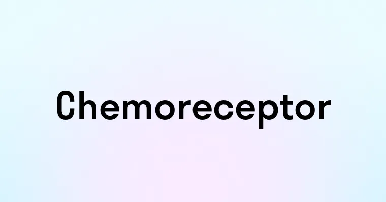 Chemoreceptor — перевод, транскрипция, произношение и примеры