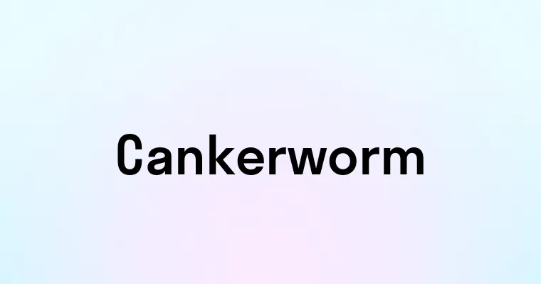 Cankerworm — перевод, транскрипция, произношение и примеры