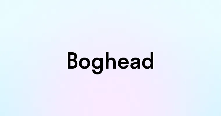 Boghead — перевод, транскрипция, произношение и примеры