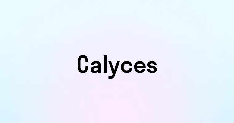 Calyces — перевод, транскрипция, произношение и примеры