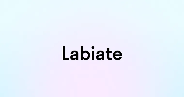 Labiate — перевод, транскрипция, произношение и примеры