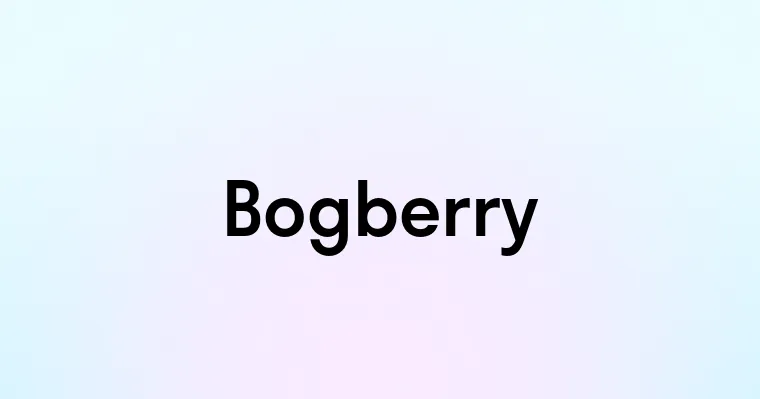 Bogberry — перевод, транскрипция, произношение и примеры