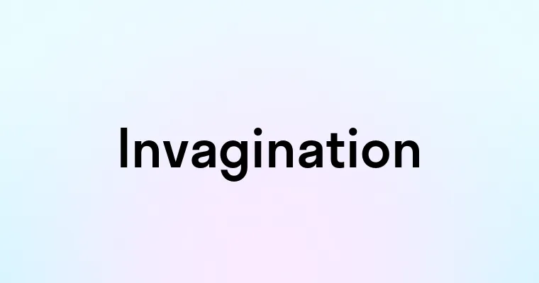 Invagination — перевод, транскрипция, произношение и примеры