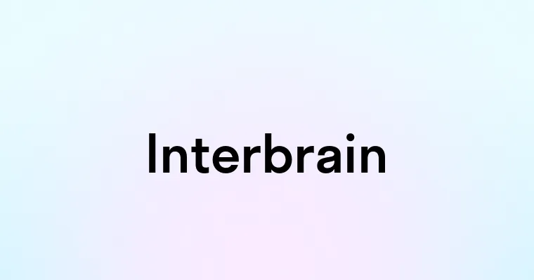 Interbrain — перевод, транскрипция, произношение и примеры
