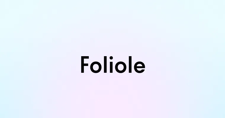 Foliole — перевод, транскрипция, произношение и примеры