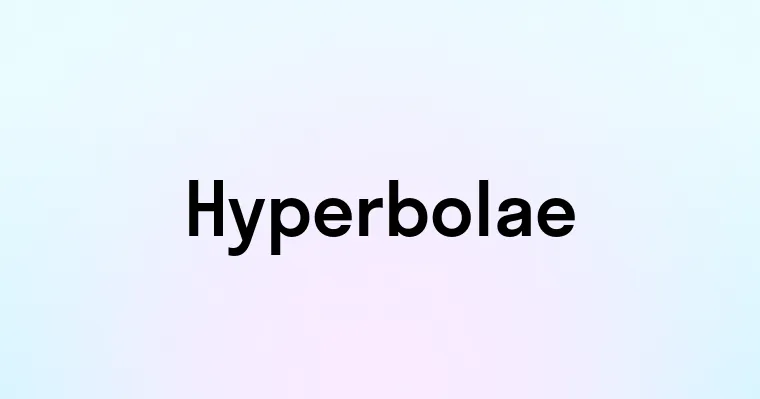 Hyperbolae — перевод, транскрипция, произношение и примеры