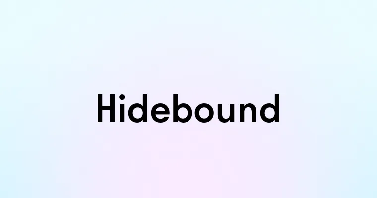 Hidebound — перевод, транскрипция, произношение и примеры