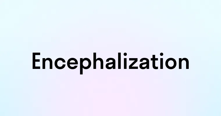 Encephalization — перевод, транскрипция, произношение и примеры