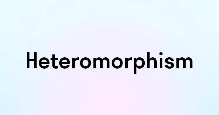 Heteromorphism — перевод, транскрипция, произношение и примеры