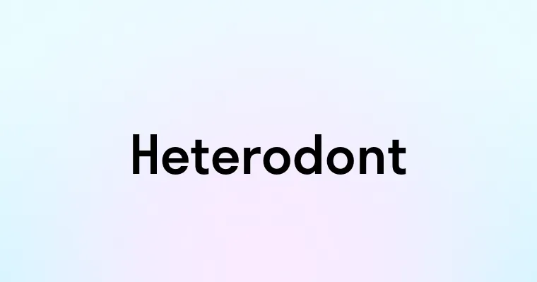 Heterodont — перевод, транскрипция, произношение и примеры