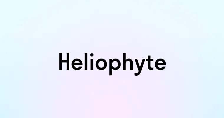 Heliophyte — перевод, транскрипция, произношение и примеры