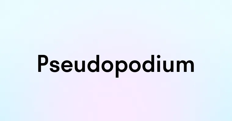 Pseudopodium — перевод, транскрипция, произношение и примеры