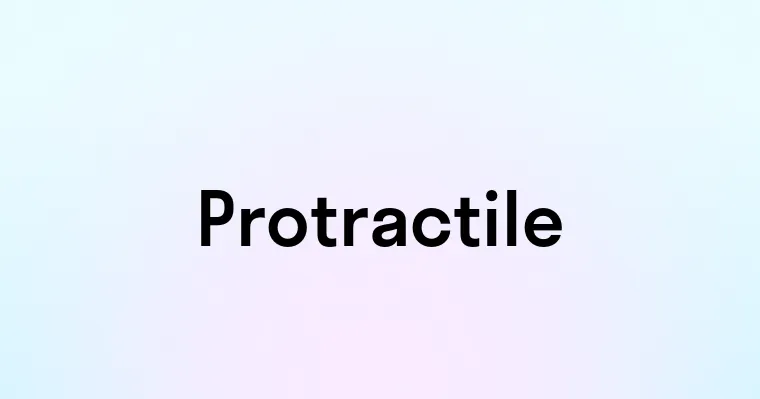Protractile — перевод, транскрипция, произношение и примеры