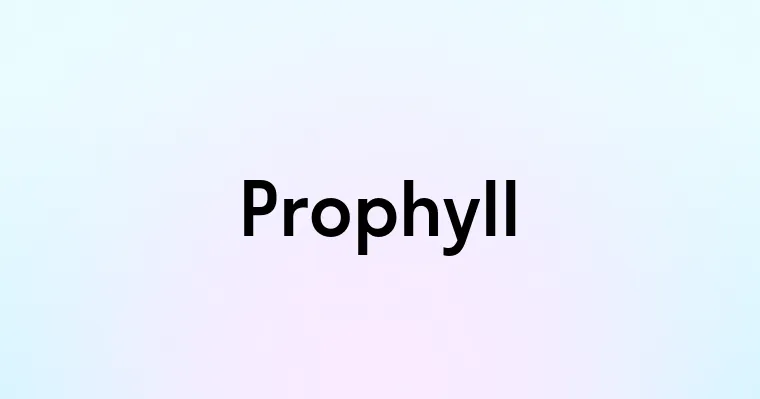 Prophyll — перевод, транскрипция, произношение и примеры