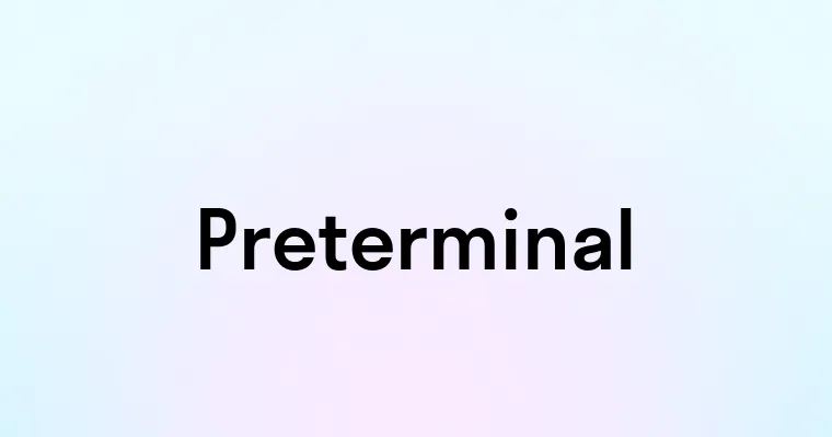 Preterminal — перевод, транскрипция, произношение и примеры