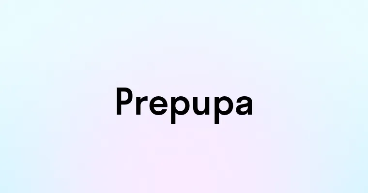 Prepupa — перевод, транскрипция, произношение и примеры