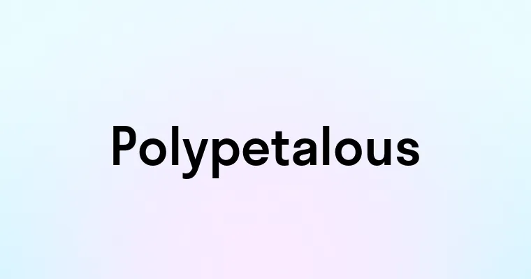 Polypetalous — перевод, транскрипция, произношение и примеры