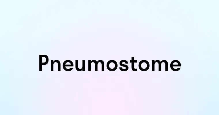 Pneumostome — перевод, транскрипция, произношение и примеры
